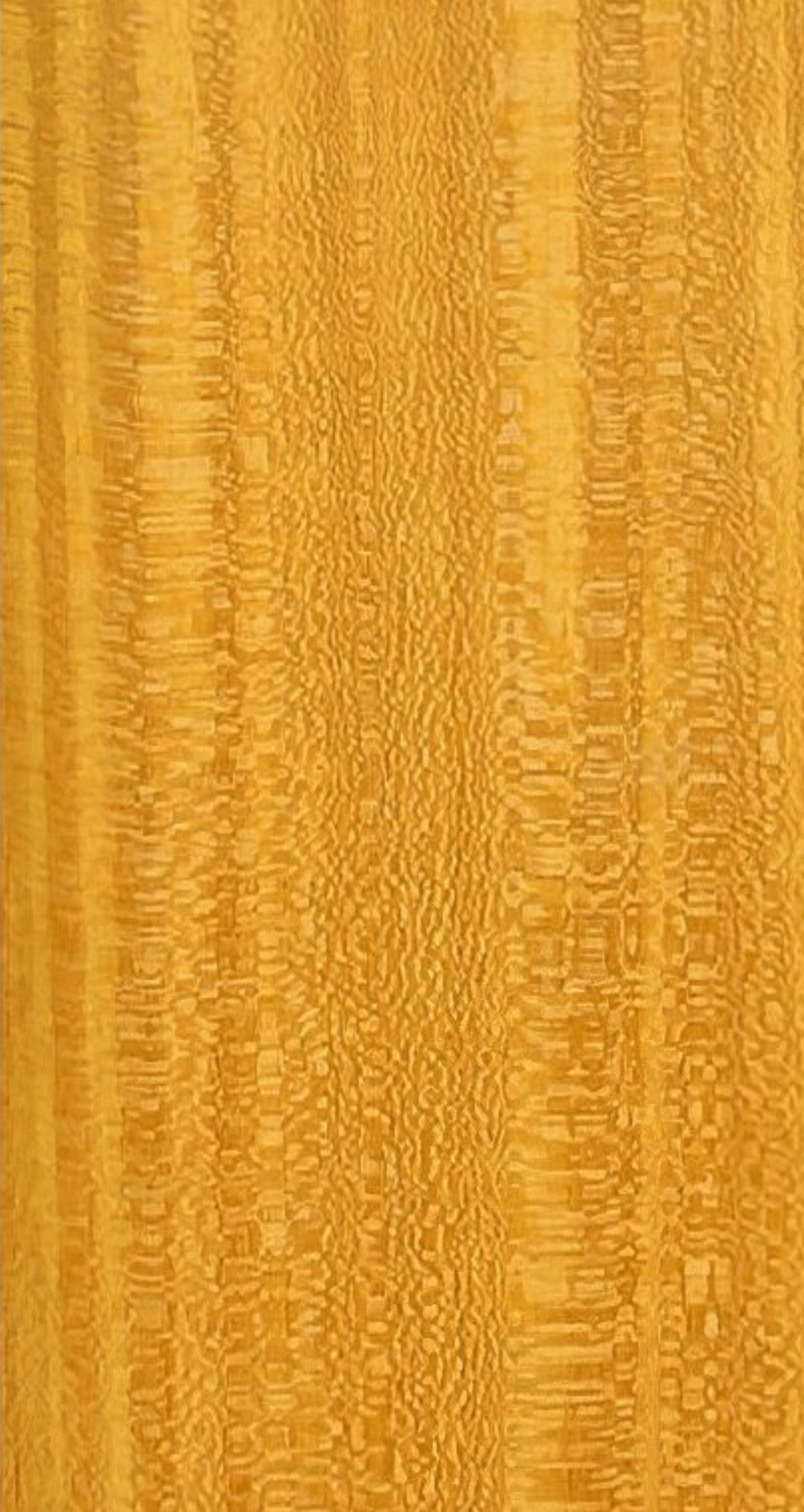 36”x 6.75” Dyed Golden Yellow Wood Veneer. Complete Saturation Through ...