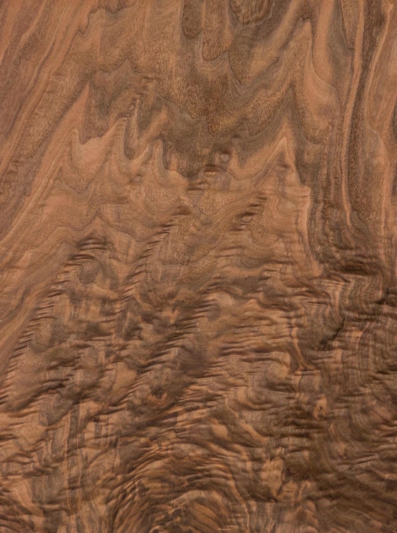 Walnut Burl Swirl Raw All Wood Veneer 26”x21.5”x1/45” Premium Quality ...
