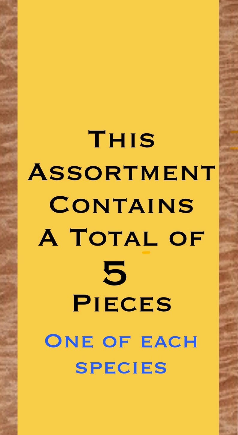 1/4”x4”x24” Padauk, Purpleheart, Wenge, Walnut, Bubinga, Total of 5 Pcs ...