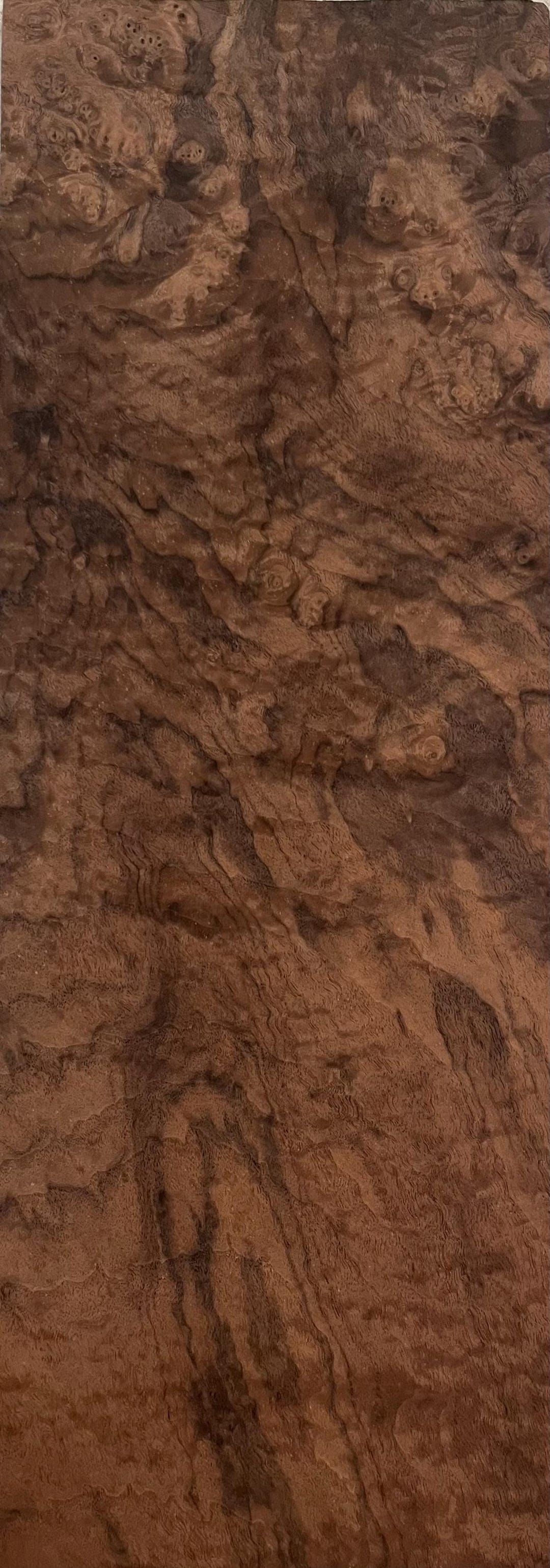 Walnut Burl Raw All Wood Veneer 8.25x 22.75x 1/42 Premium Quality ...