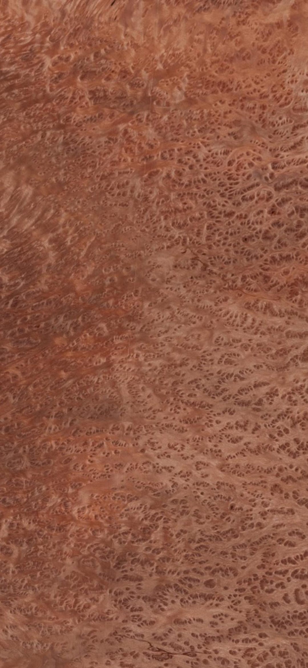 Redwood Burl Raw All Wood Exotic Veneer. 15.25” Wide X 23.5” Long X 1/ ...