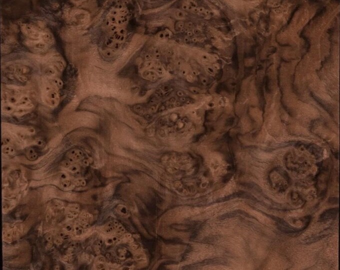 Walnut Burl Raw All Wood Veneer 11.75”x20”x1/45” Premium Quality. - Etsy