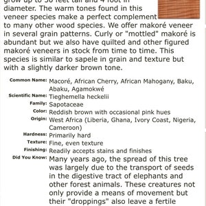 Mottled Makore Wood Veneer. Exotic Raw Hardwood Veneer, Premium Quality ...