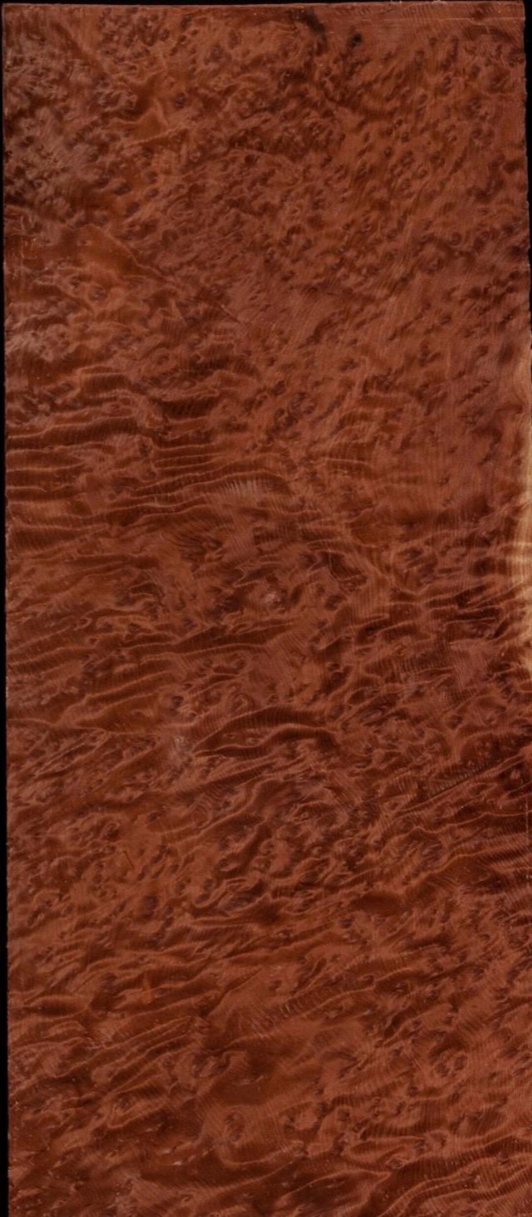 Redwood Burl Raw All Wood Exotic Veneer 12” Wide X 27” Long X 1/42 ...