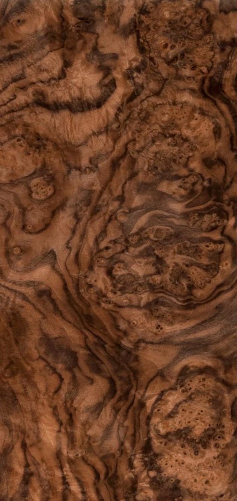 Walnut Burl Raw All Wood Veneer 9.5”x30”x1/42” Premium Quality. Exotic ...