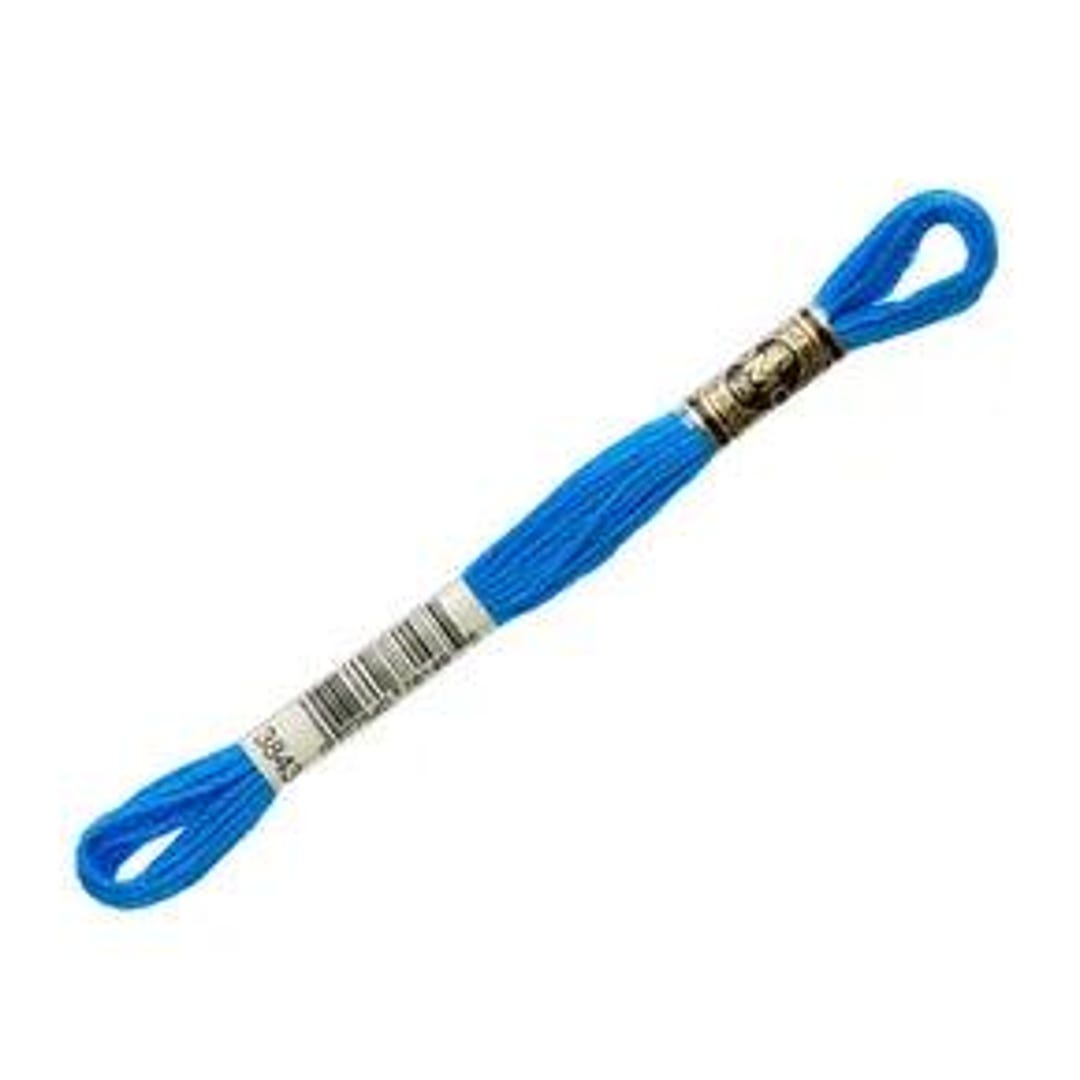 DMC 3843 - 6 Strand Embroidery Floss - Etsy