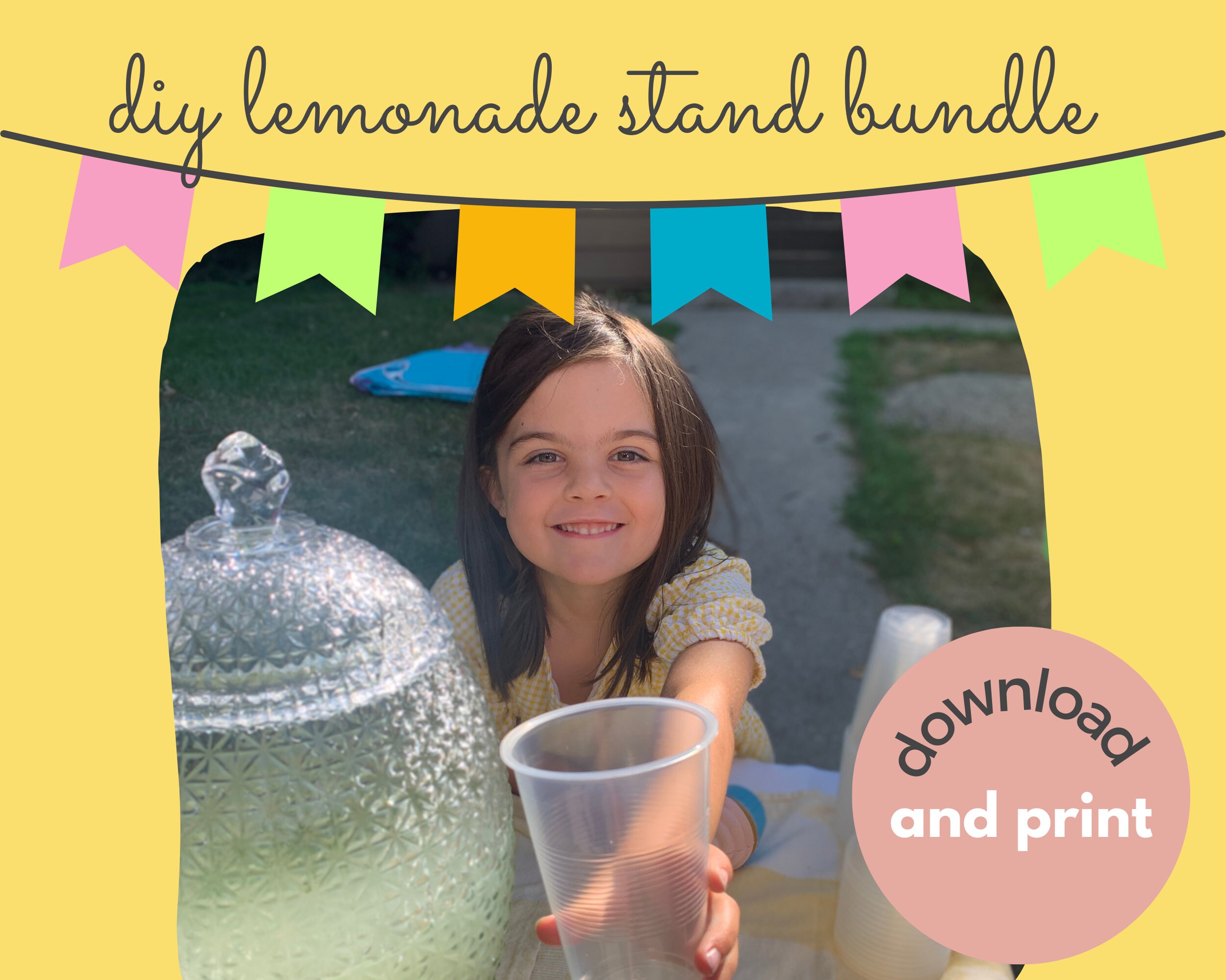 DIY Lemonade Stand Bundle, Download and Print Your Own Lemonade Stand ...