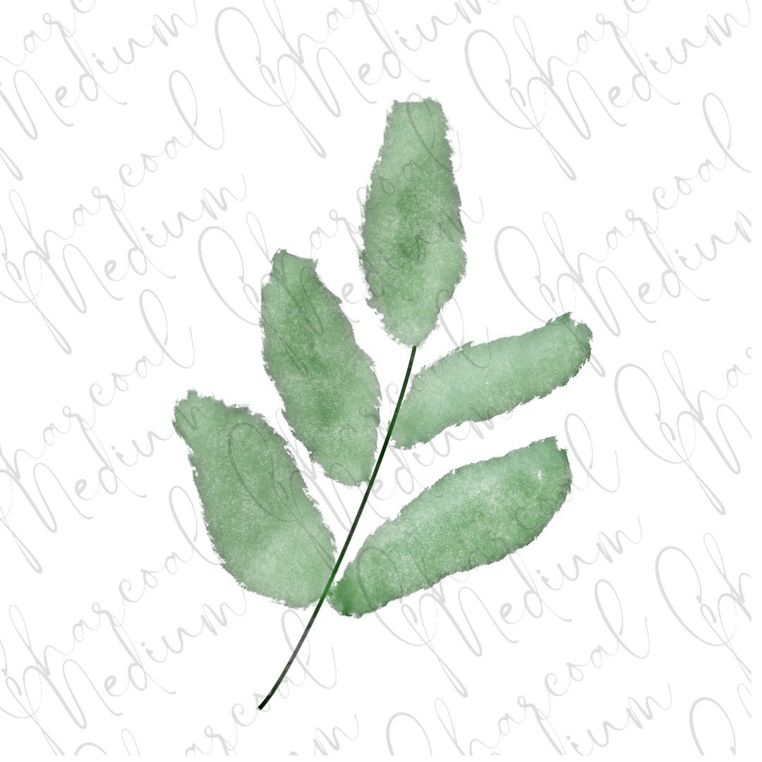 Leaf, Greenery, Watercolor, Hand Drawn, PNG, JPEG, Sublimation, Digital ...