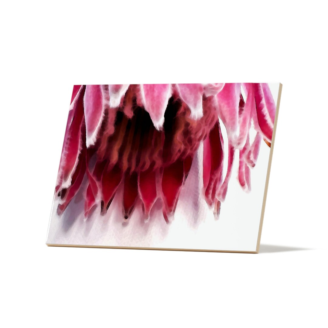 King Protea Ceramic Photo Tile Matte/ Gloss - Etsy