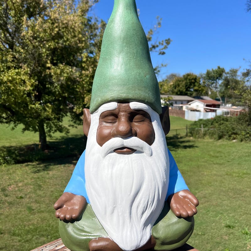 Custom Garden Gnomes - Etsy