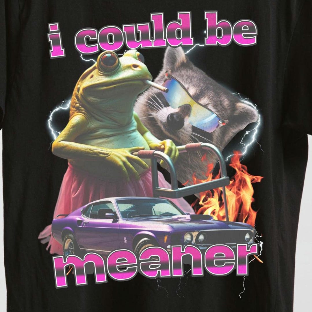 I Could Be Meaner T-shirt: Funny Frog Meme Sarcastic Humor - Etsy