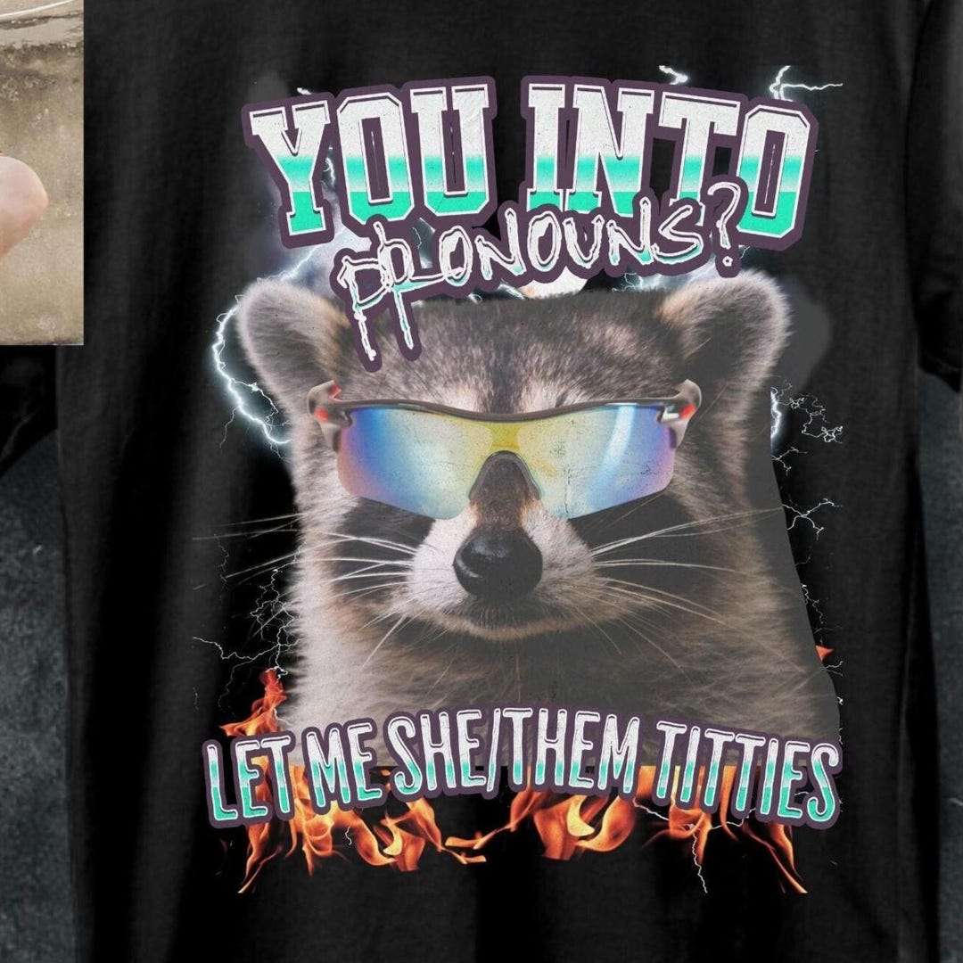 Stylish Pronouns Shirt,funny Raccoon Tee,inappropriate Shirt,ironic T ...