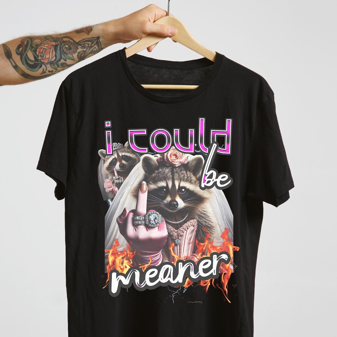 Stylish I Could Be Meaner Shirt,funny Meme Raccoon Tee,funny Humor ...