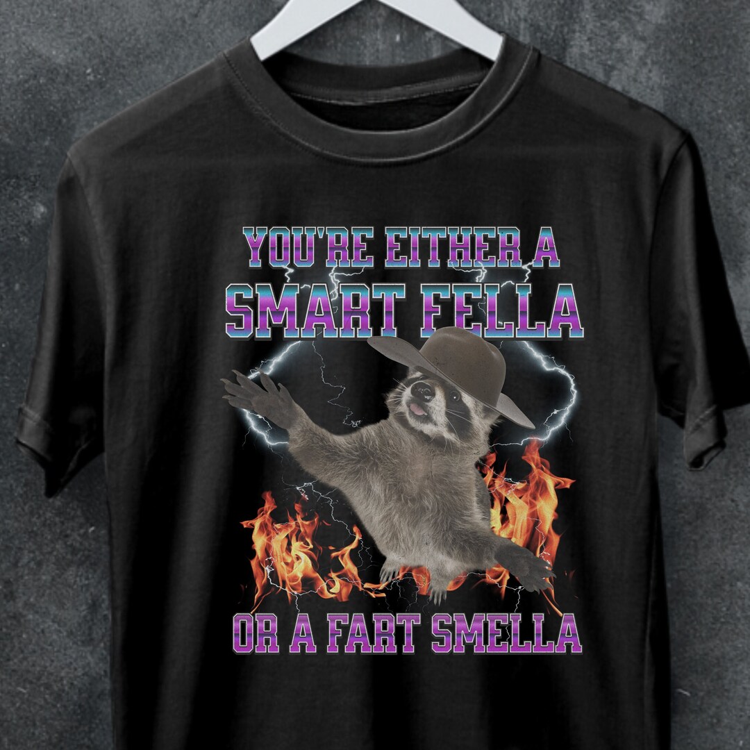 Stylish Are You A Smart Fella or Fart Smella Tshirt,funny Meme Tshirt ...