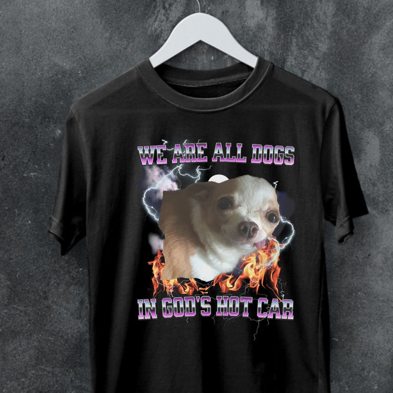 Funny Dog Meme T-shirt, We Are All Dogs in God's Hot Car - Etsy