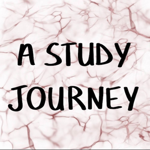 AStudyJourney - Etsy