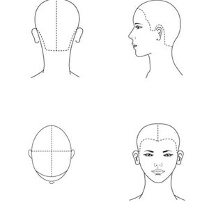 Salon Head Sheet Pack Salon Color Head Sheet Salon Notes - Etsy