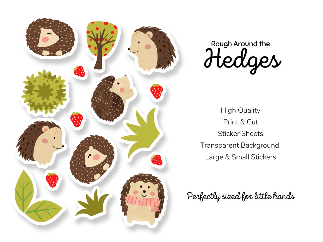 Print and Cut Hedgehog Stickers, Sticker Sheet, Cute Hedgehog ...