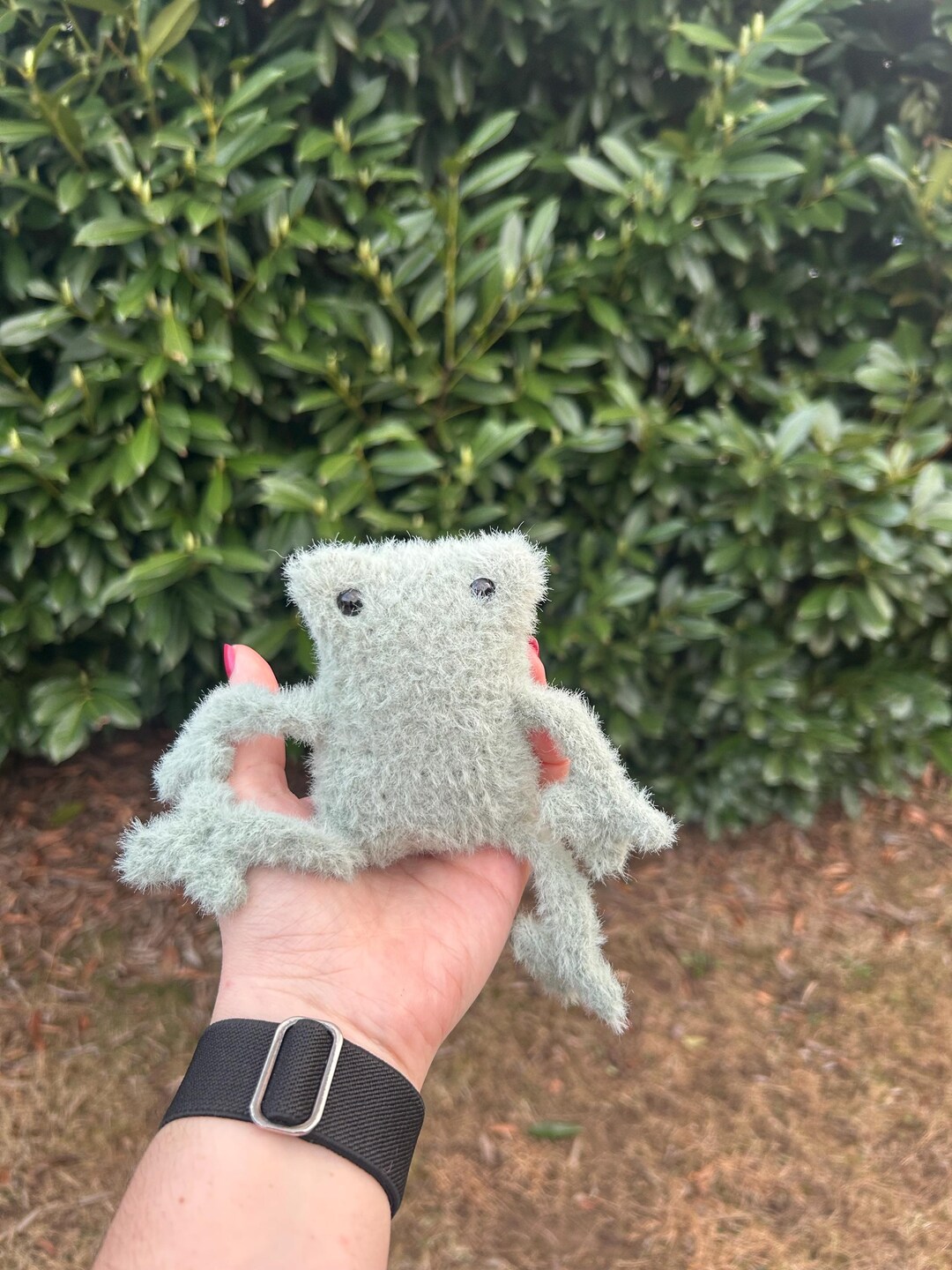 Long Leggy Frog - Etsy