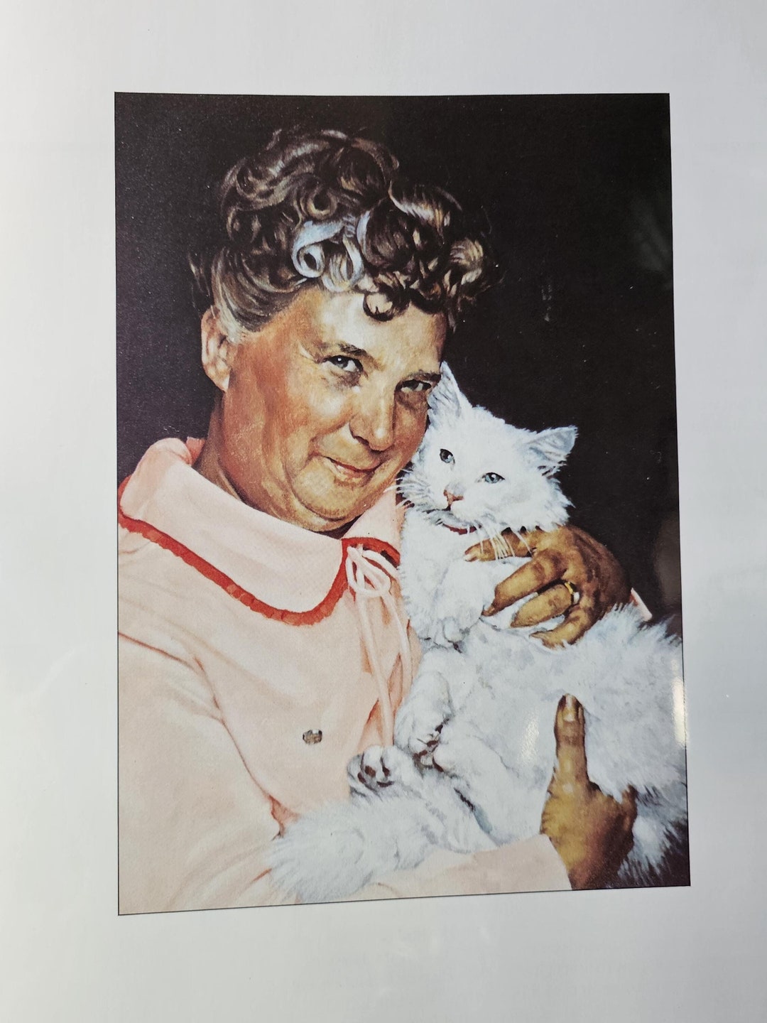Purina Cat Chow Advertisement Norman Rockwell Paper Wall Art Home Decor ...