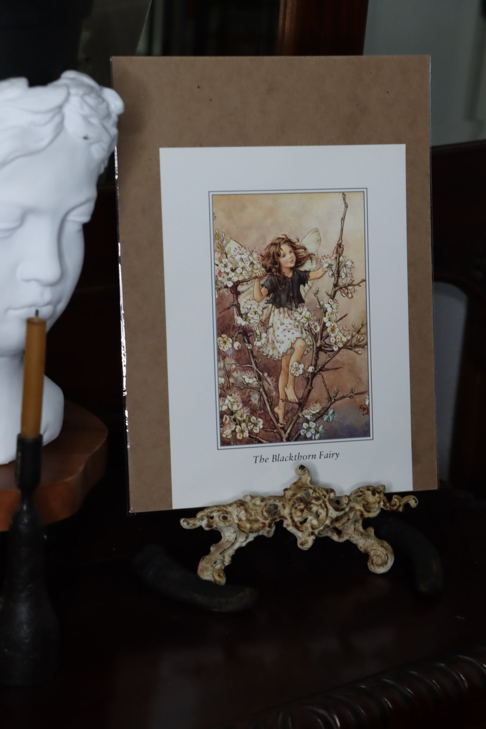 The Blackthorn Fairy Cicely Mary Barker Fairytale Original Vintage ...
