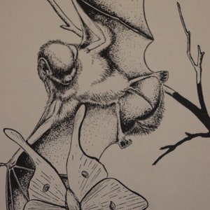 Bat Lover Bat Ears the Bats Art Home Decor Black and White - Etsy