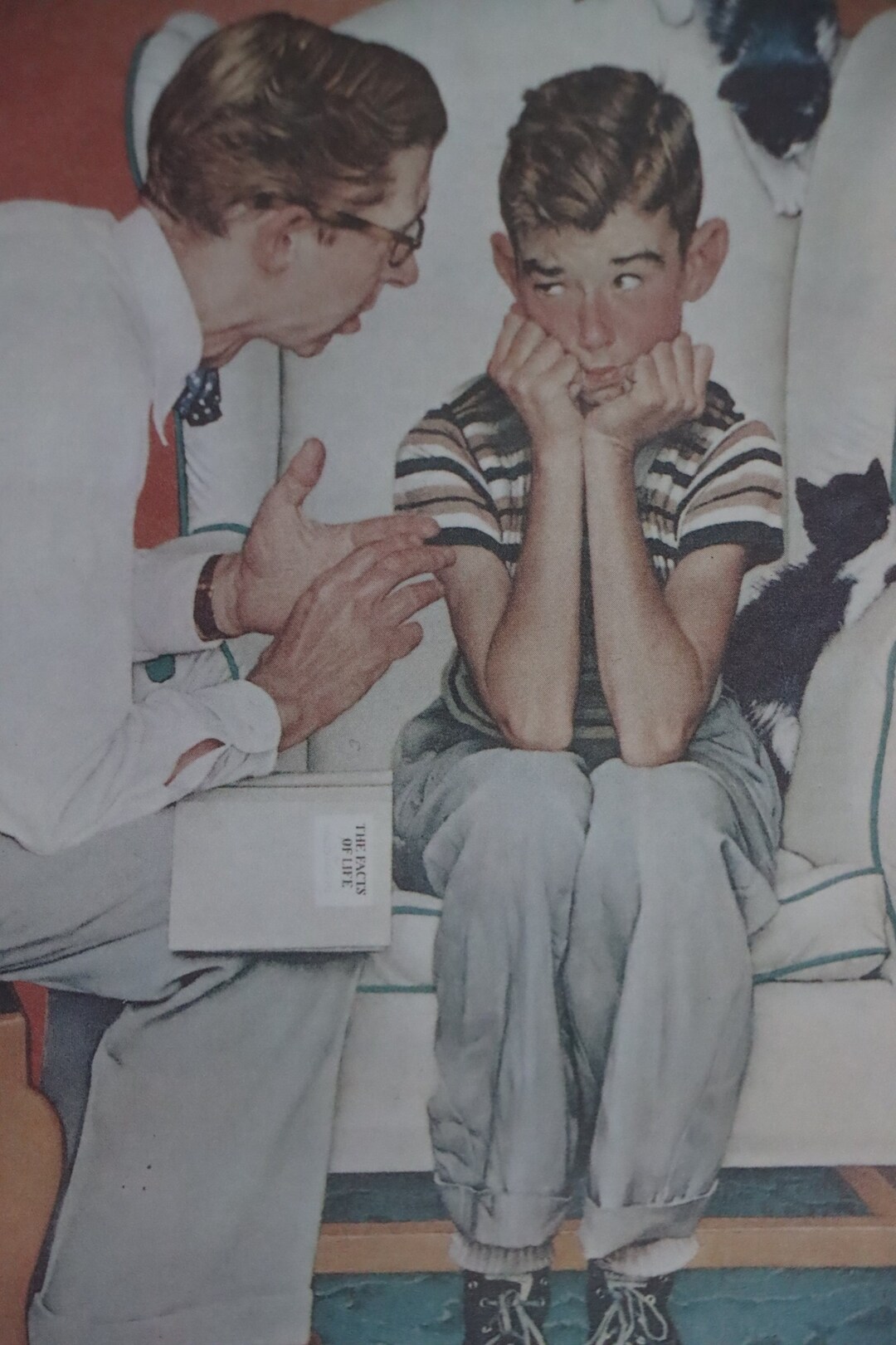 The Facts of Life (1951) Dad and Son Cats Paper Print Norman Rockwell ...