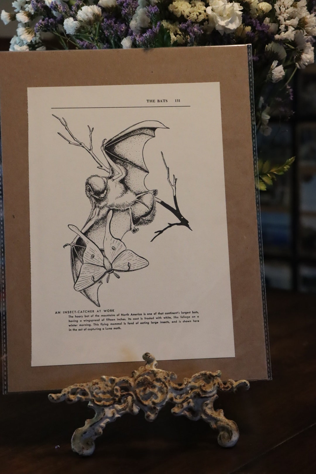 Bat Lover Bat Ears the Bats Art Home Decor Black and White - Etsy