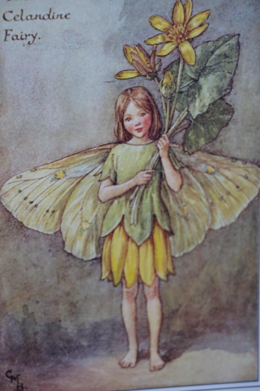 The Celandine Fairy Cicely Mary Barker Fairytale Original Vintage ...