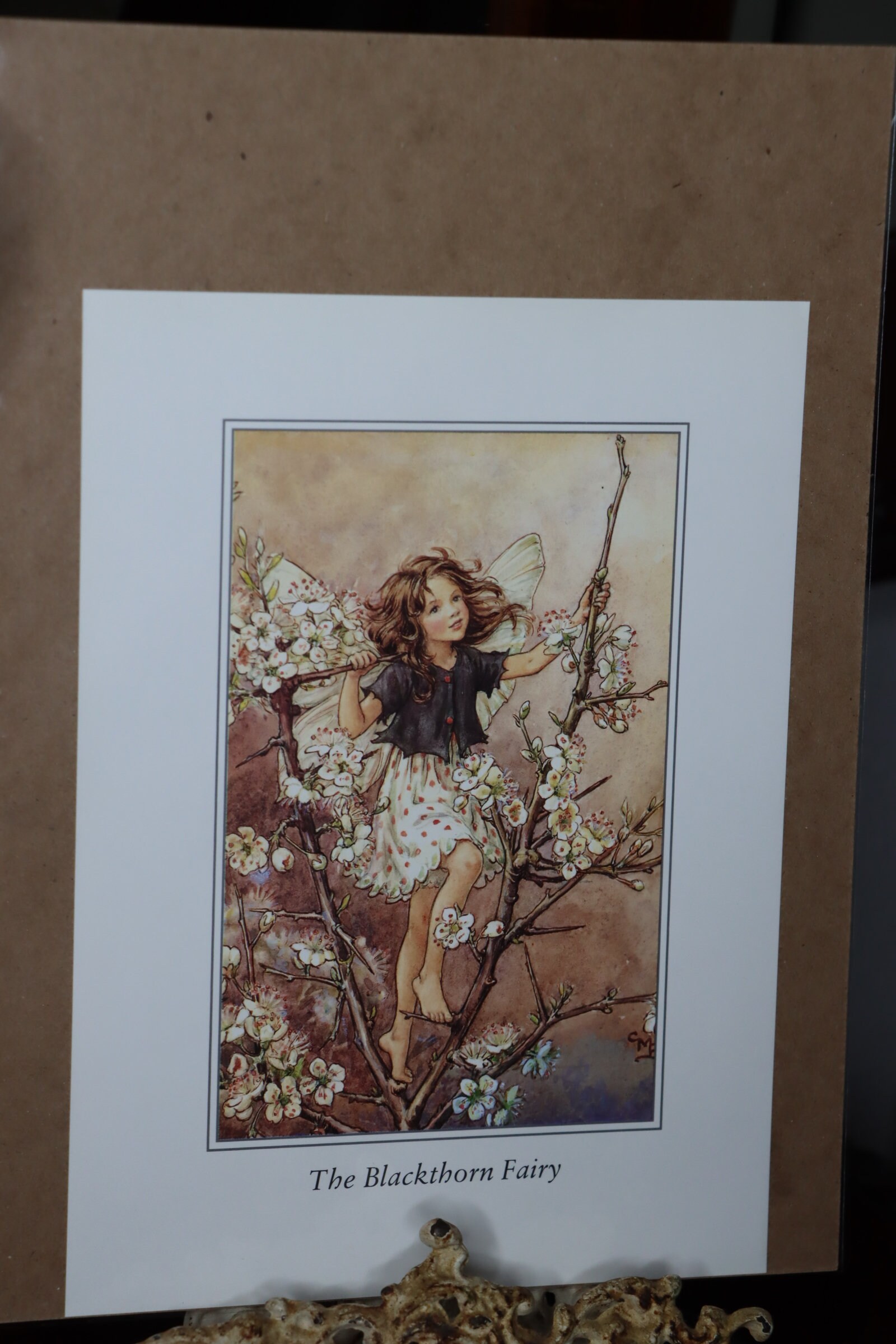 The Blackthorn Fairy Cicely Mary Barker Fairytale Original Vintage ...