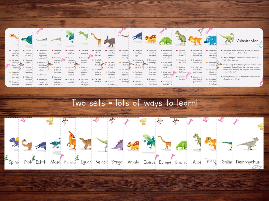 Dinosaur Flashcards Set, Prehistoric Learning Cards, Fun Homeschool ...