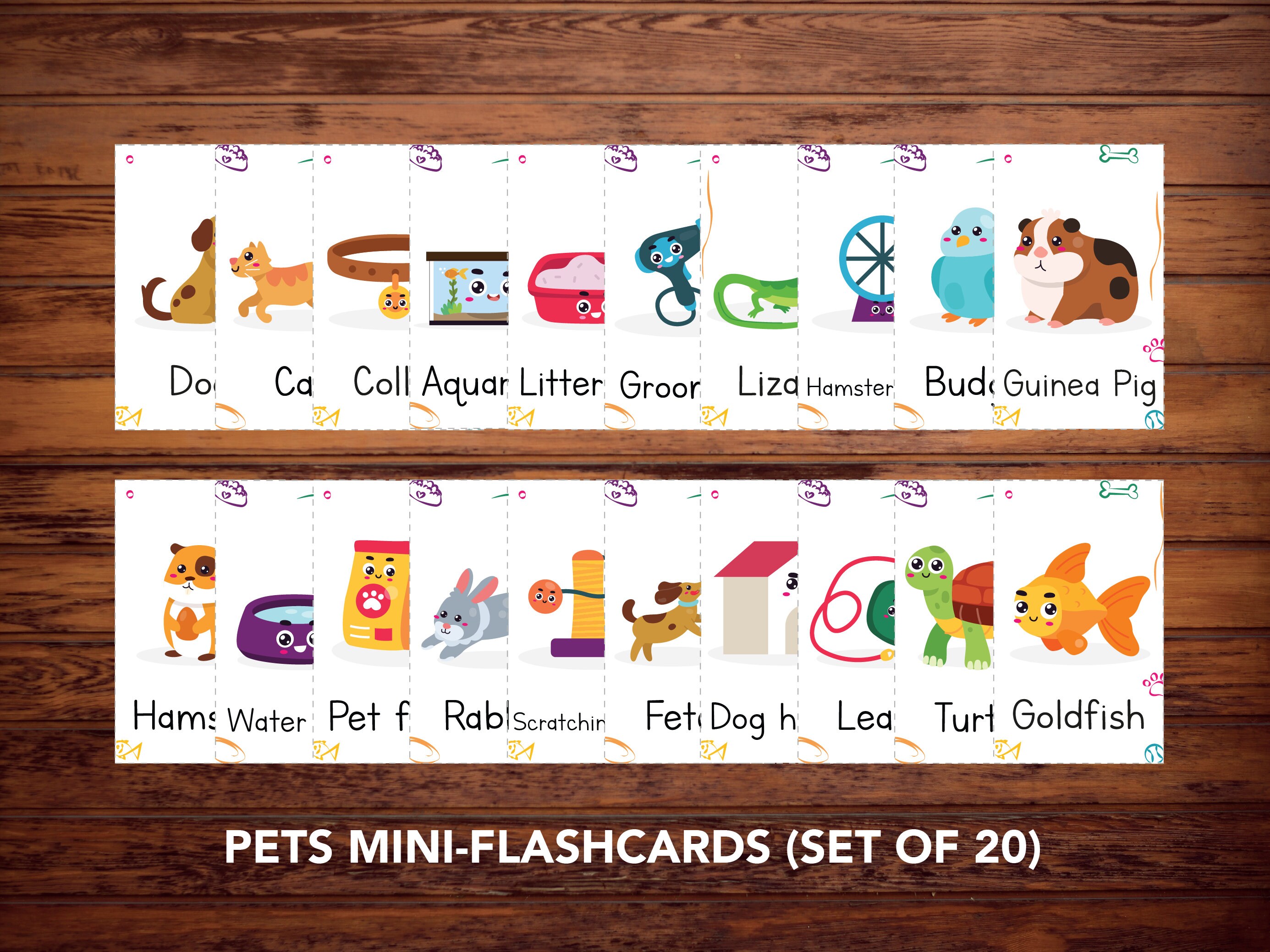Pets Flash Cards Montessori Flashcards Pre-school Cards - Etsy