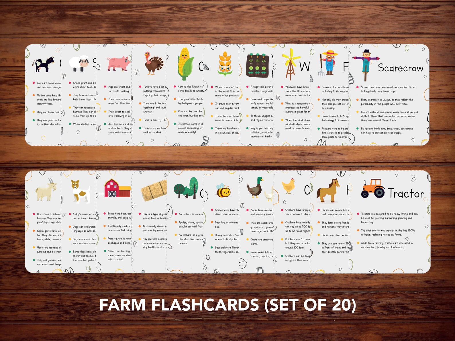 Farm Flashcard Set, Farm Animals, Nomenclature Cards, Flash Cards ...