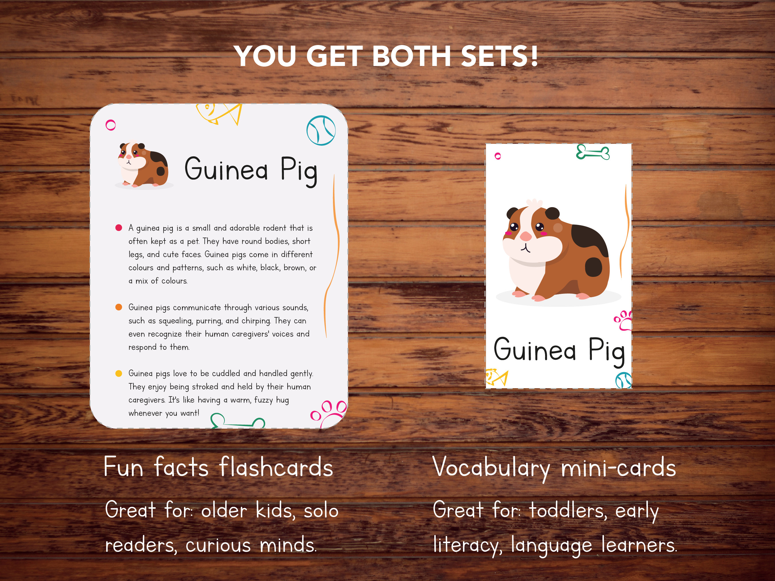 Pets Flash Cards Montessori Flashcards Pre-school Cards - Etsy