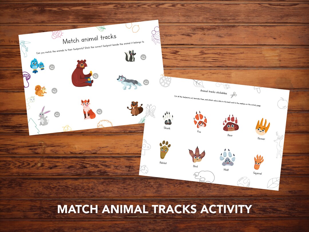 Match the Animal Tracks, Animal Track Activity, Animal Tracks Cards ...