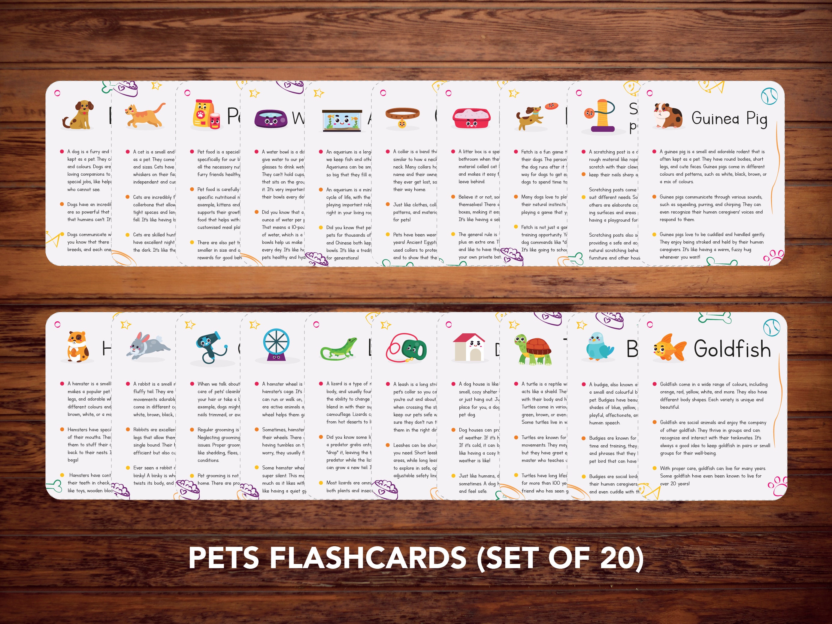 Pets Flash Cards Montessori Flashcards Pre-school Cards - Etsy