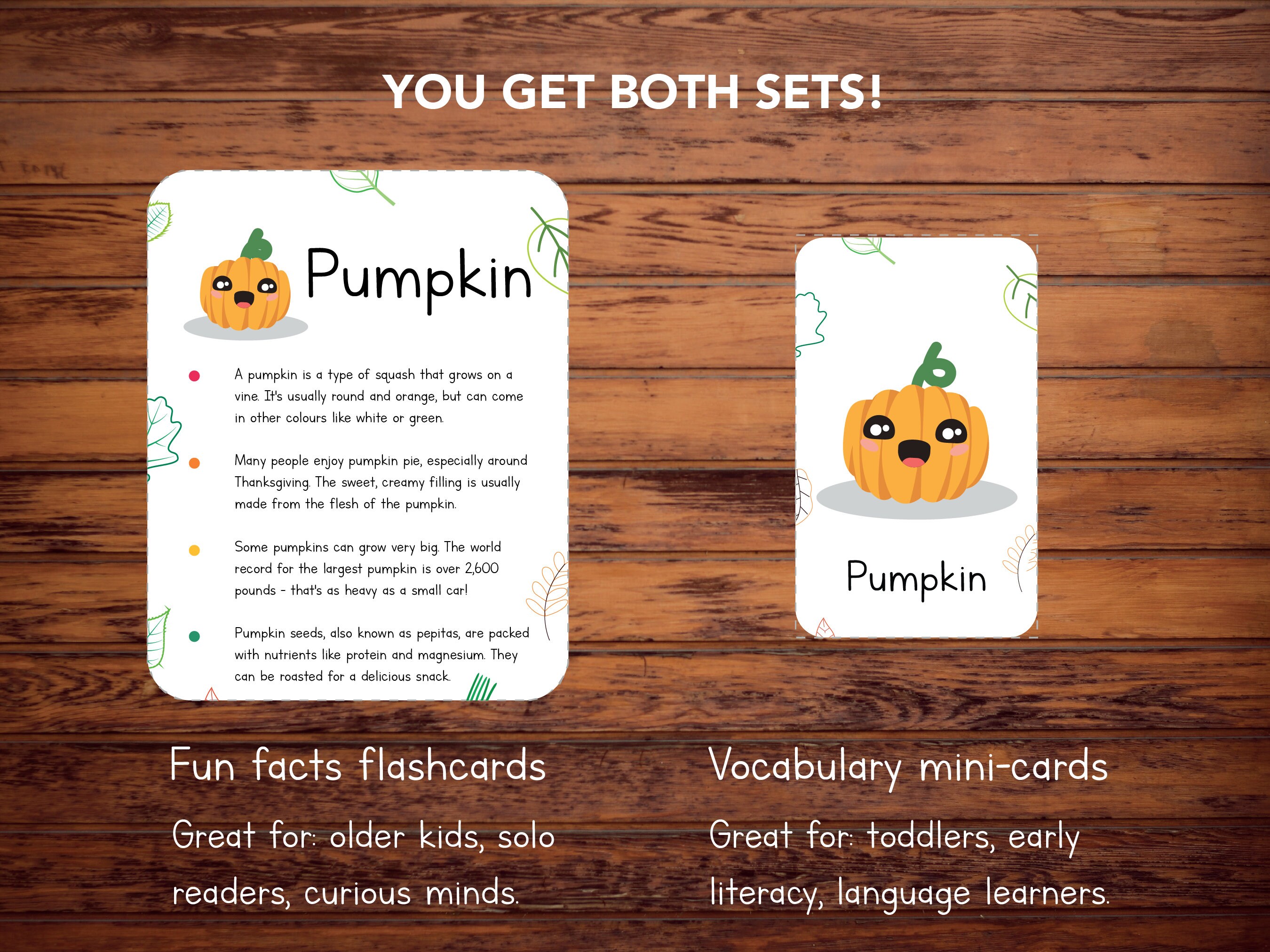 Autumn Flashcard Set, Printable Fall Flashcards, Nomenclature Cards ...