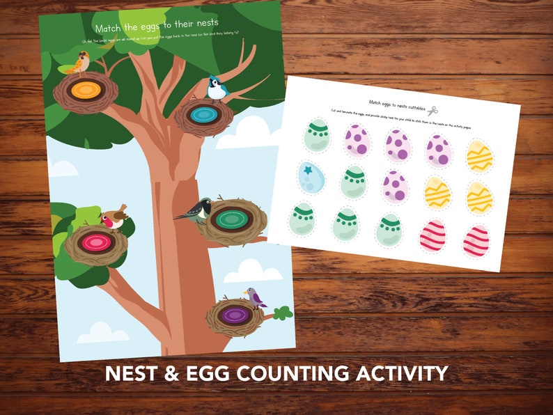 Nest and Egg Counting Activity, Birds Eggs Matching Activities ...