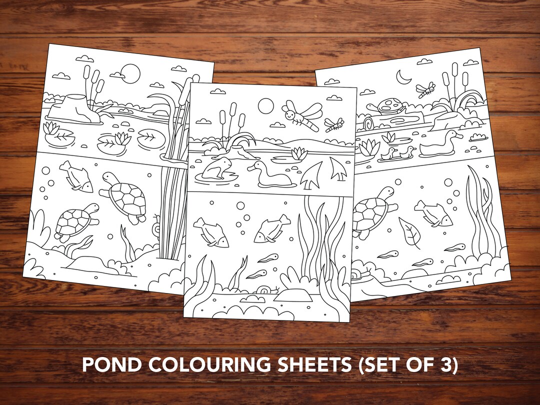 Pond Life Coloring Sheets Set, Printable Educational Activity, Pond ...