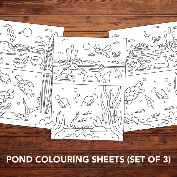 Pond Life Art - Etsy