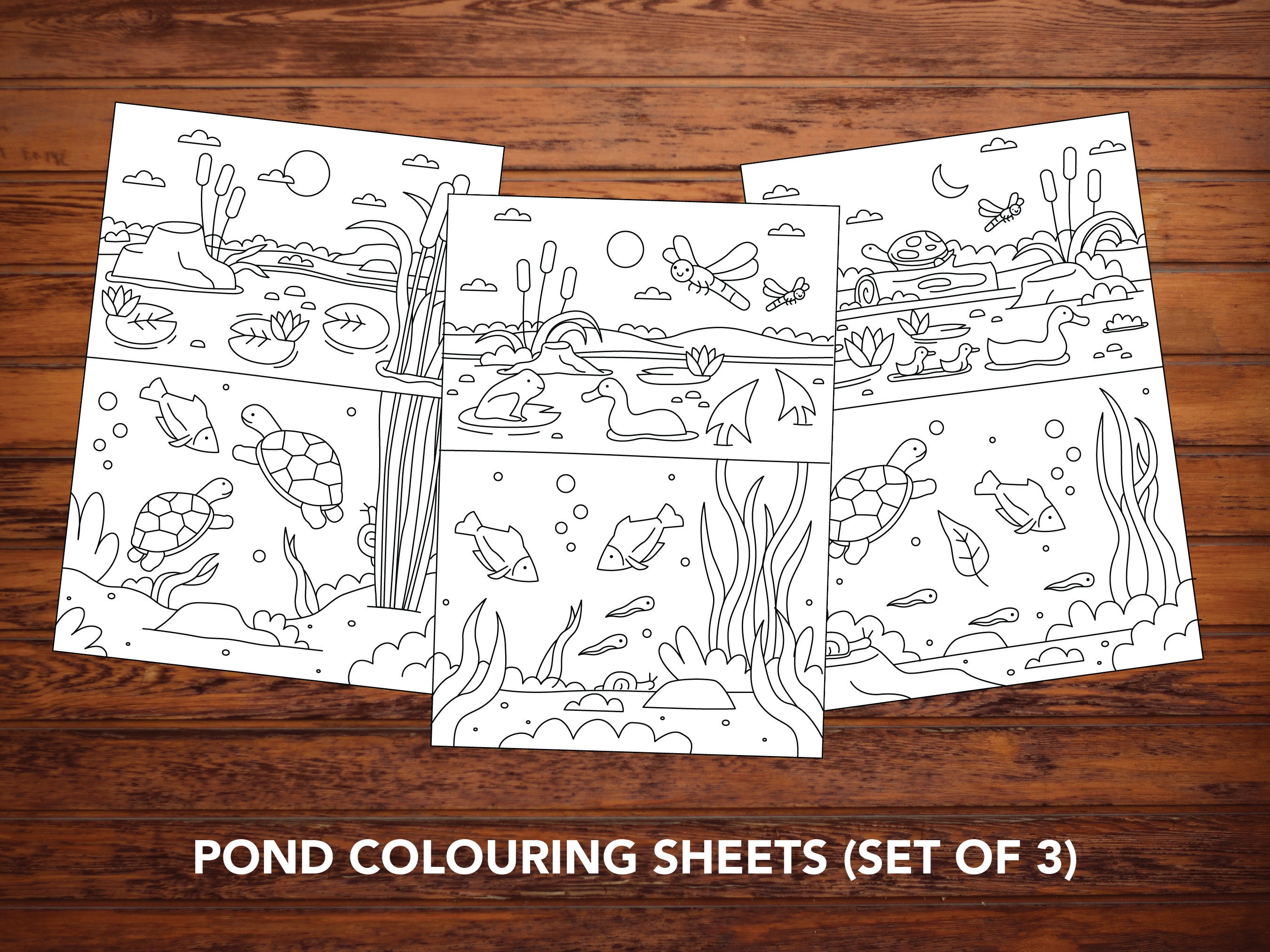 Pond Life Coloring Sheets Set, Printable Educational Activity, Pond ...