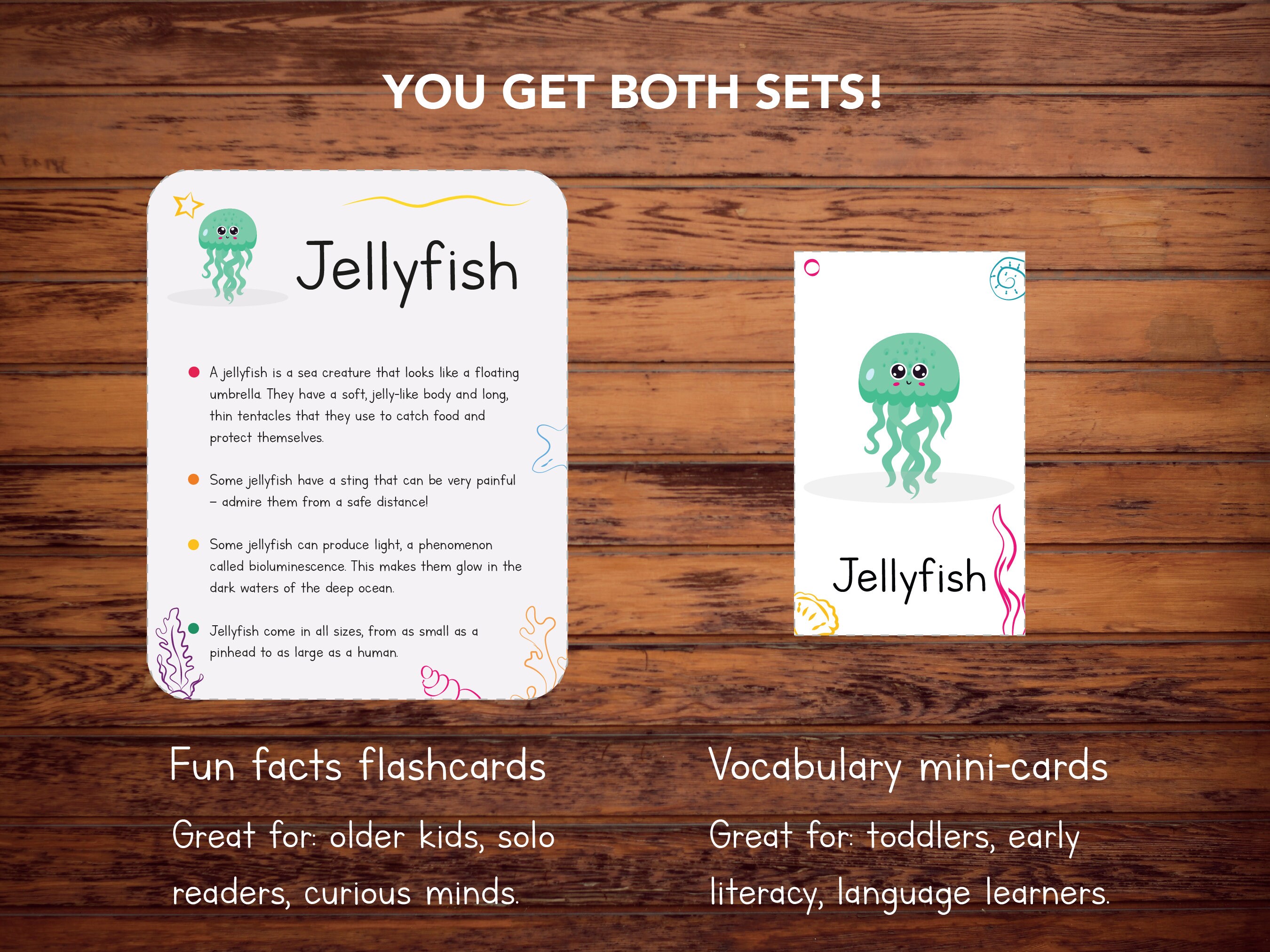 Under the Sea Flashcards Set Printable Ocean Flash Cards Sea - Etsy