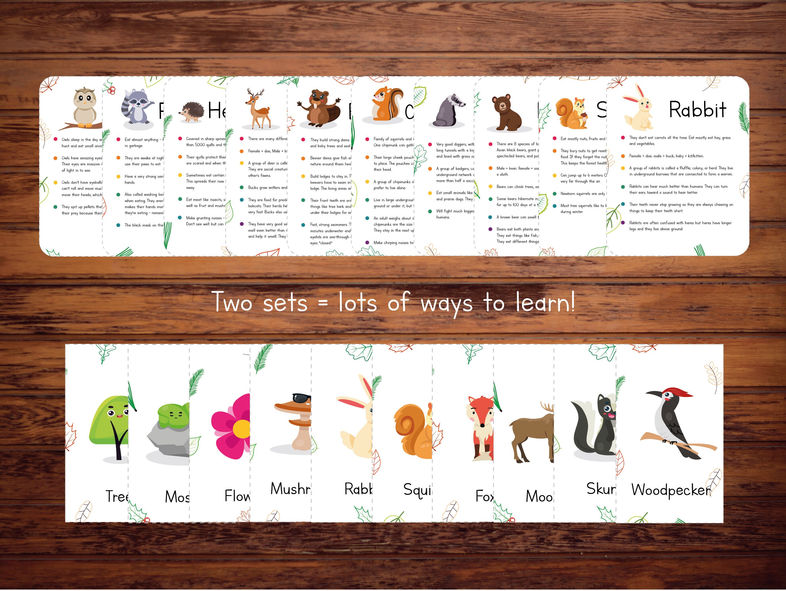 Forest Flashcards, Printable Jungle Animals, Jungle Nursery Flash Cards ...