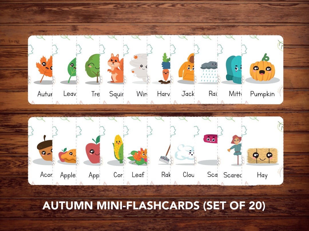 Autumn Flashcard Set, Printable Fall Flashcards, Nomenclature Cards ...