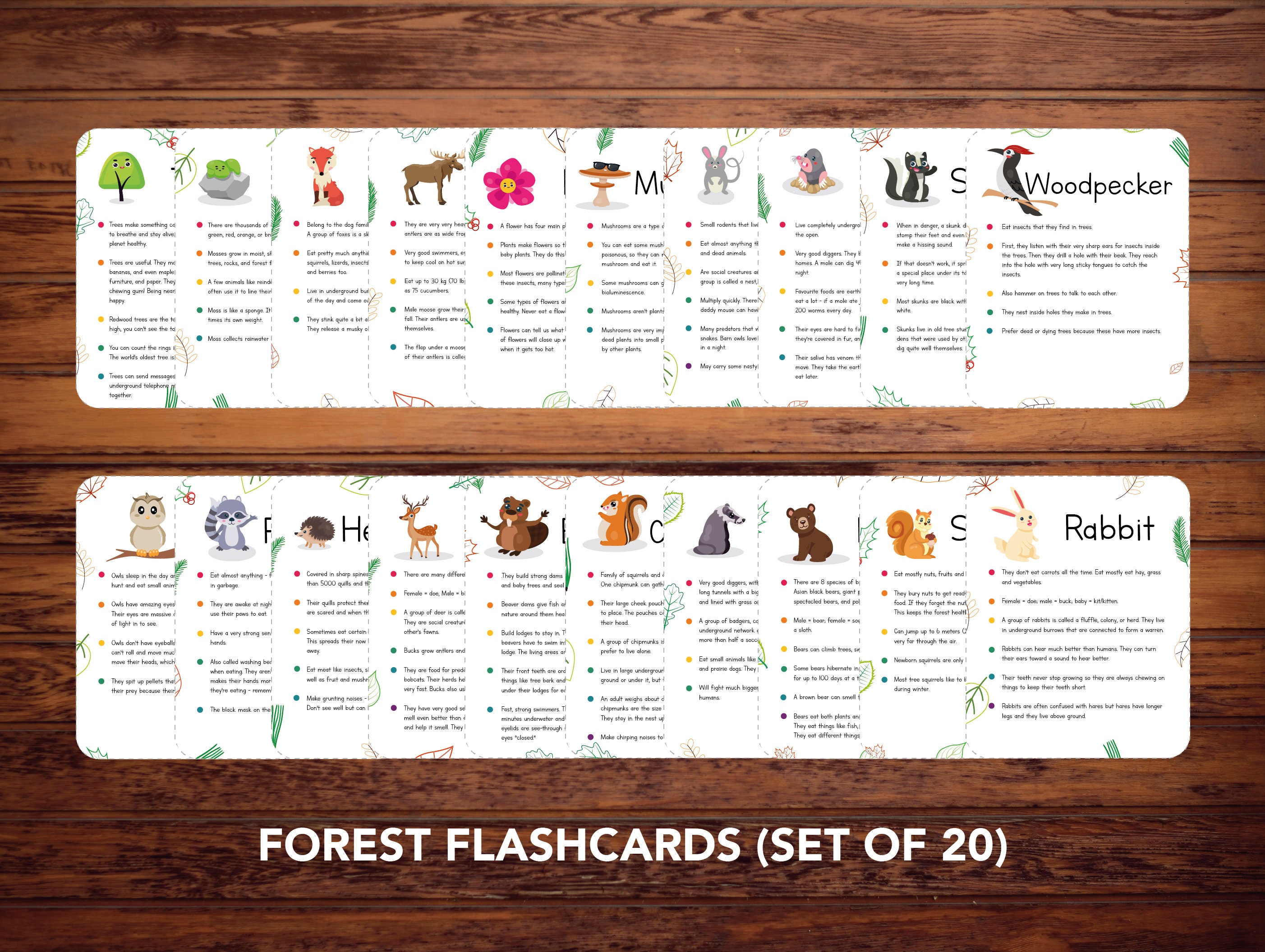Forest Flashcards, Printable Jungle Animals, Jungle Nursery Flash Cards ...