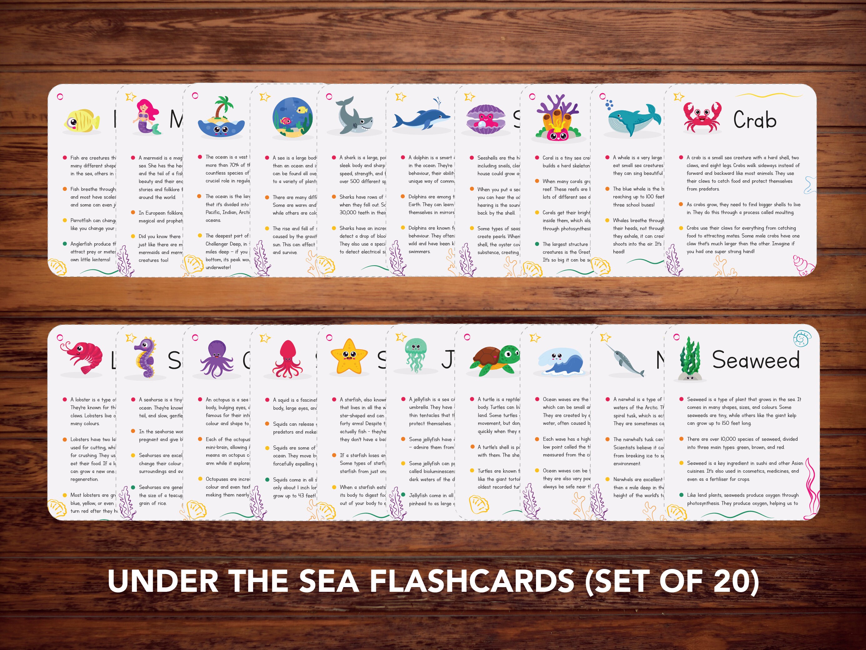 Under the Sea Flashcards Set, Printable Ocean Flash Cards, Ocean ...