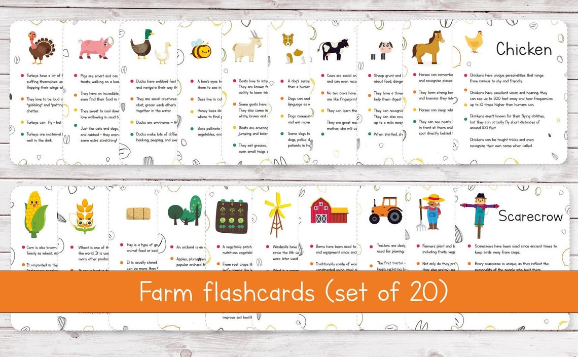 Farm Flashcard Set Farm Animals Nomenclature Cards Flash - Etsy