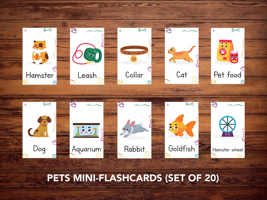 Pets Flash Cards, Montessori Flashcards, Pre-school Cards, Pets ...