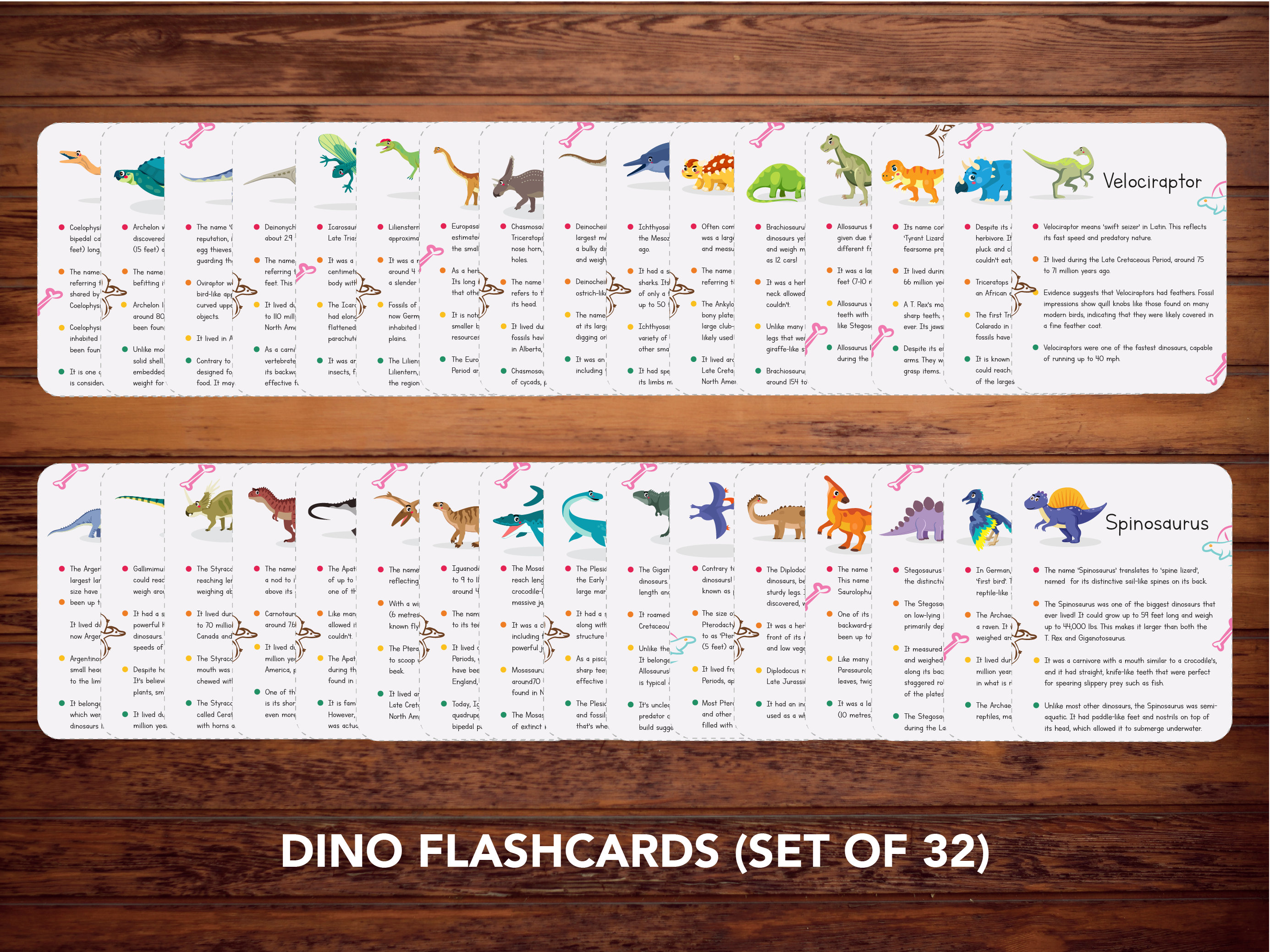 Dinosaur Flashcards Set, Prehistoric Learning Cards, Fun Homeschool ...