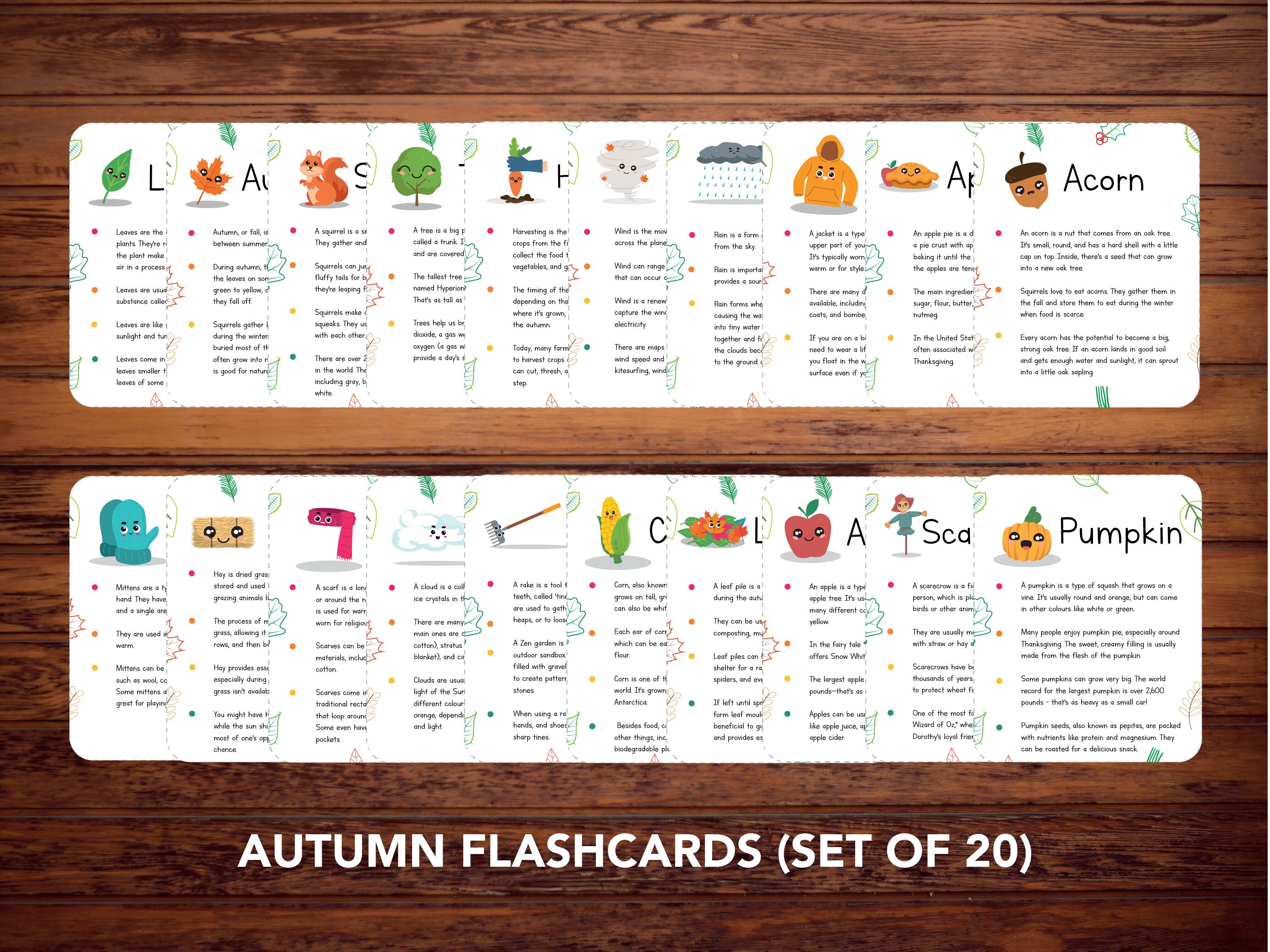Autumn Flashcard Set, Printable Fall Flashcards, Nomenclature Cards ...